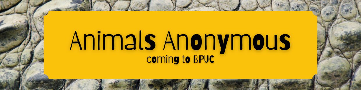 Animals Anonymous | Brougham Place Uniting Church